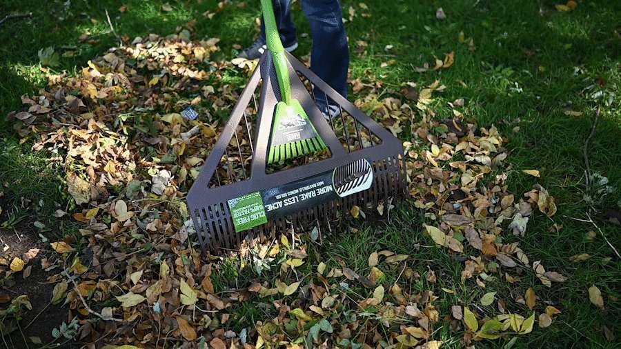 The Best Rakes of 2019 - Reviewed Home & Outdoors