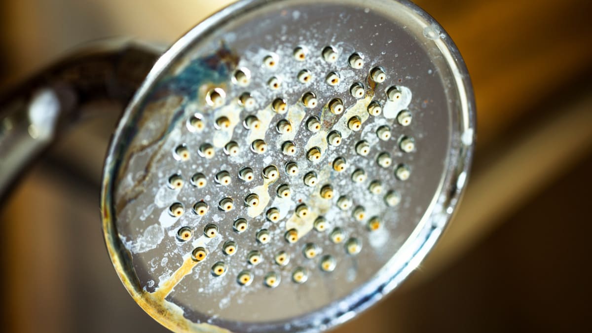 Here’s how to clean a shower head - Reviewed