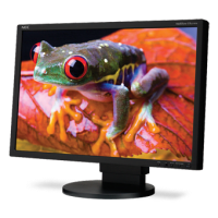 Nec Ea221wm - Reviewed