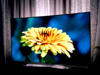 What is OLED burn-in, image retention? - Reviewed Televisions
