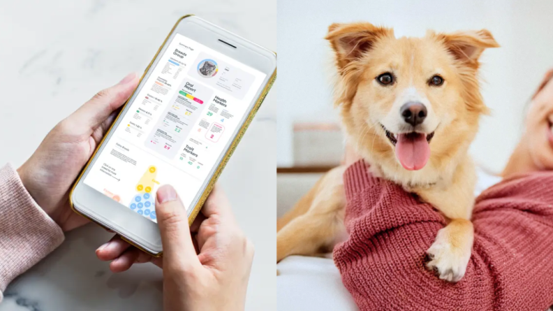 Basepaws dog DNA test: the most advanced at-home kit - Reviewed