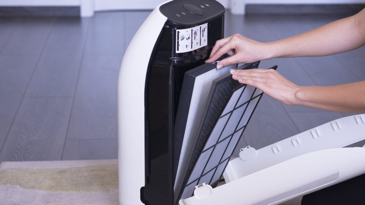 Air purifier filter replacement: How to clean HEPA filters - Reviewed
