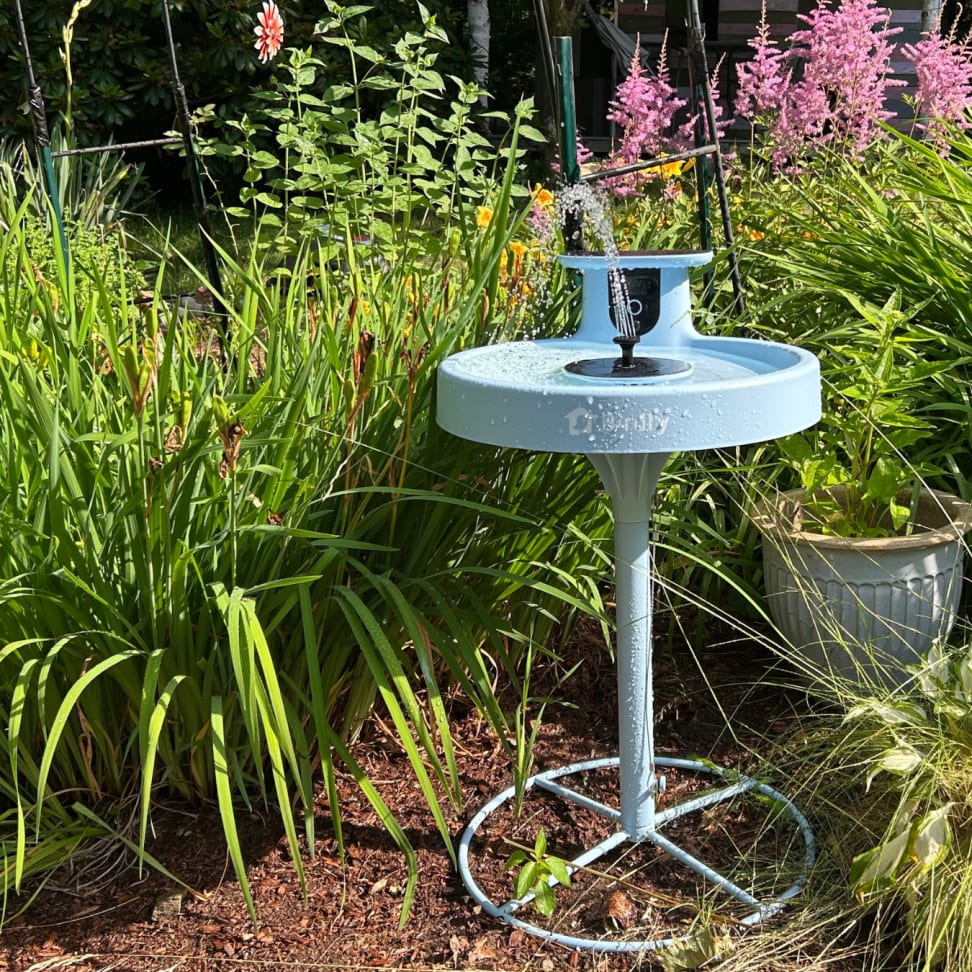 shallow bird bath pump