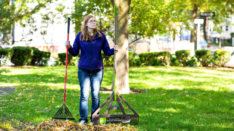 6 Best Rakes of 2022 - Reviewed