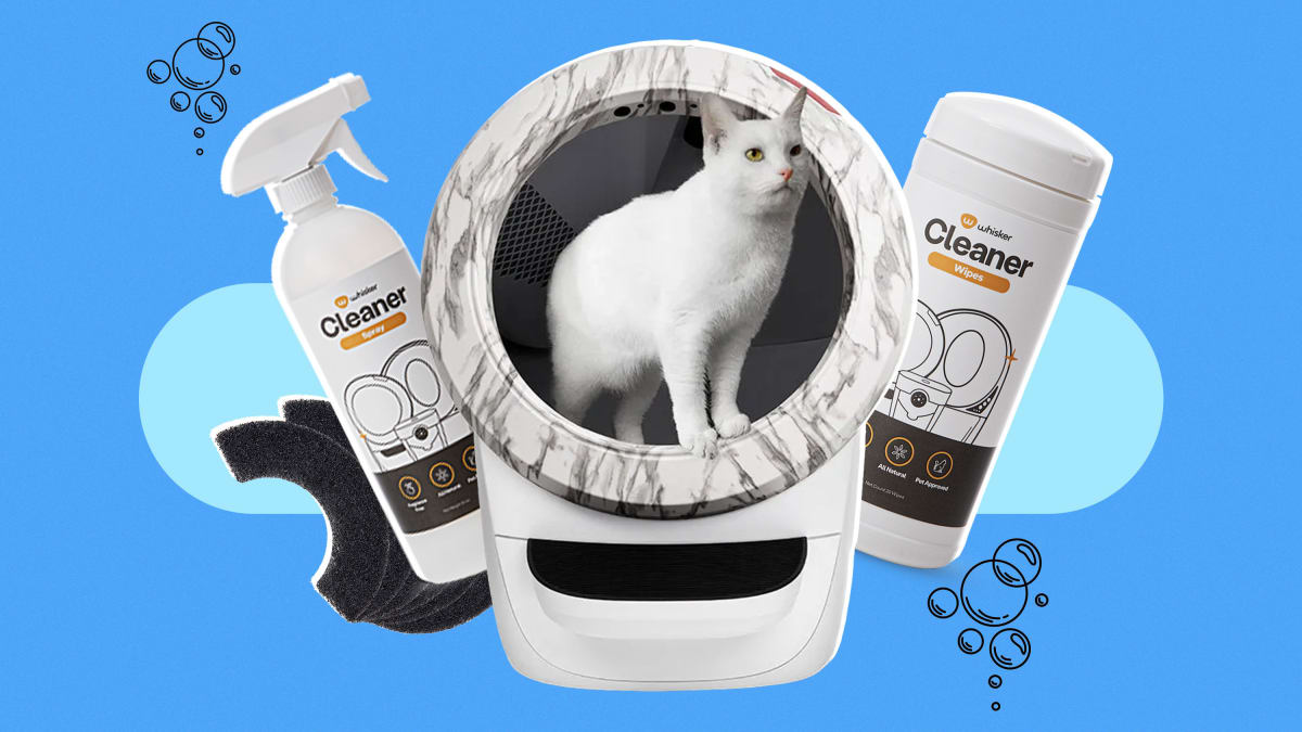 Camryn Rabideau - Journalist Profile - Intelligent Relations